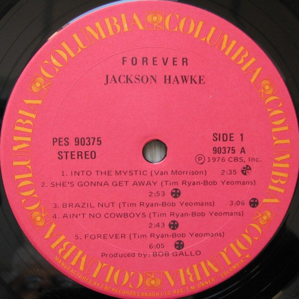 Jackson Hawke – Forever - 1976 Original Pressing – Vinyl Pursuit Inc