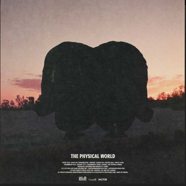 Death From Above 1979 - The Physical World – Vinyl Pursuit Inc